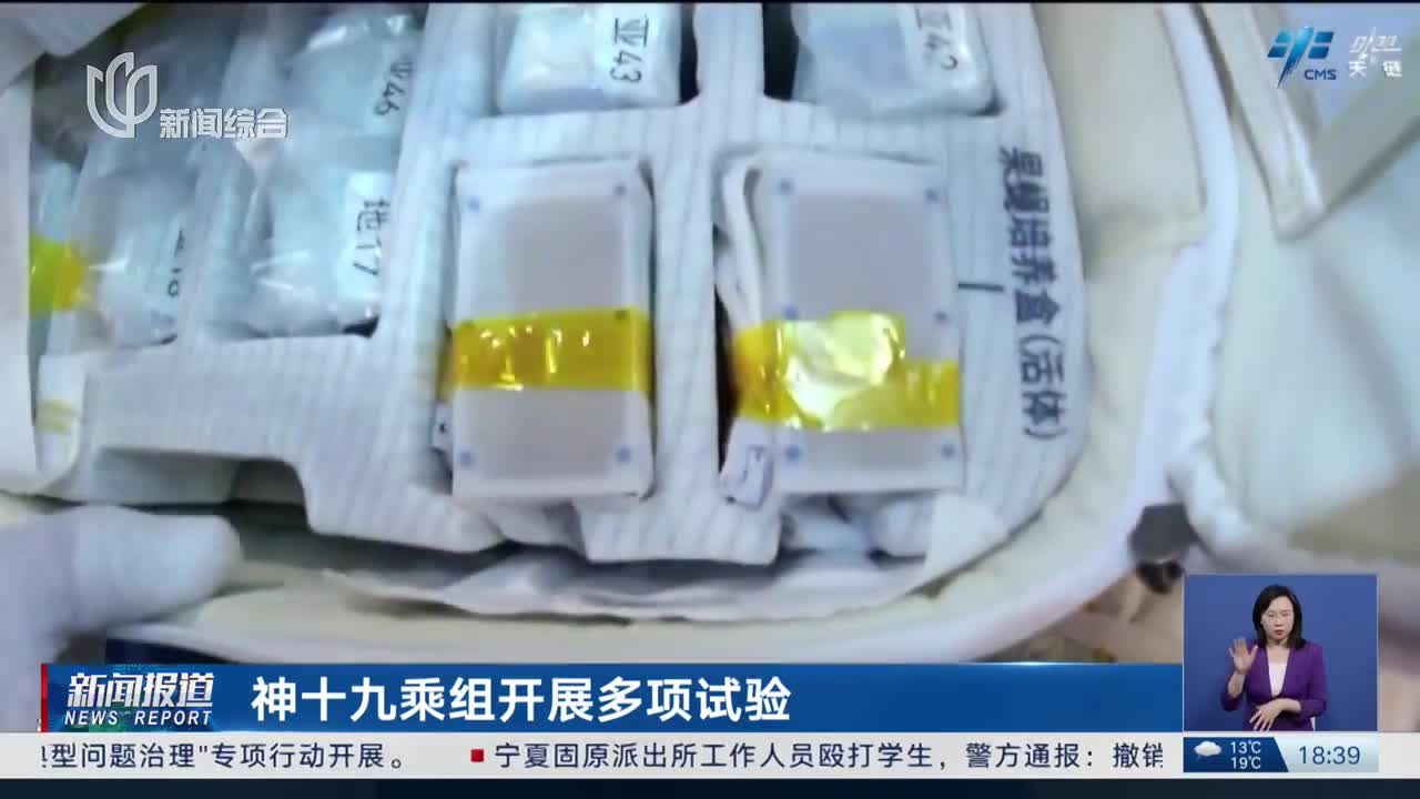 h264_720p_600k_77208-smgnews-20241124182000-3900-948558-600k_mp4 ...