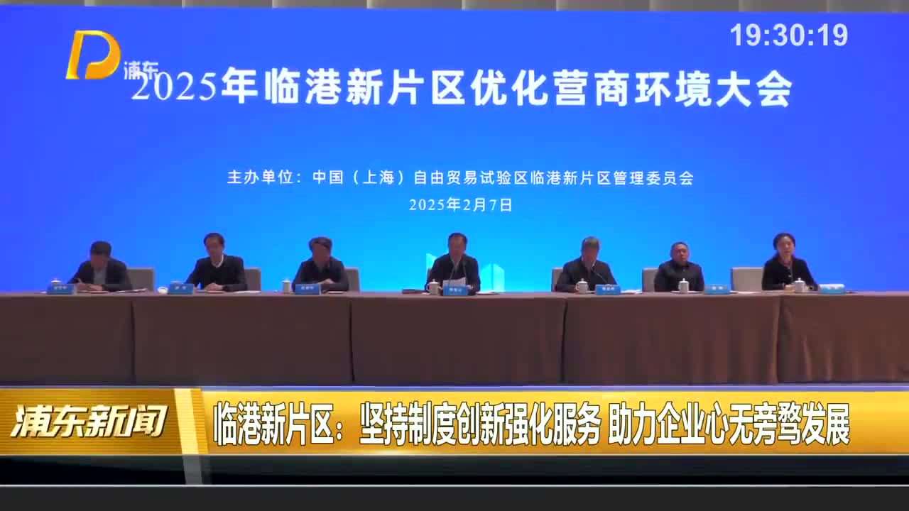 20250207浦东新闻完整版_看看新闻网