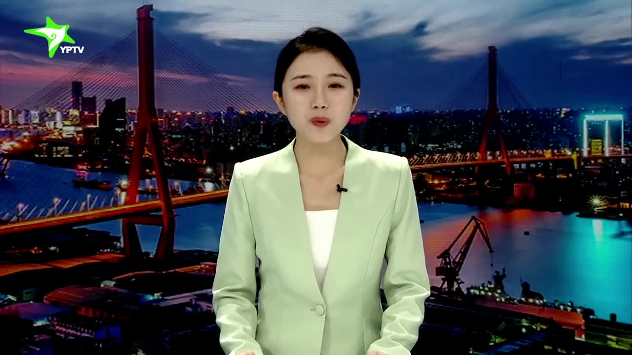 20250413杨浦新闻完整版_看看新闻网