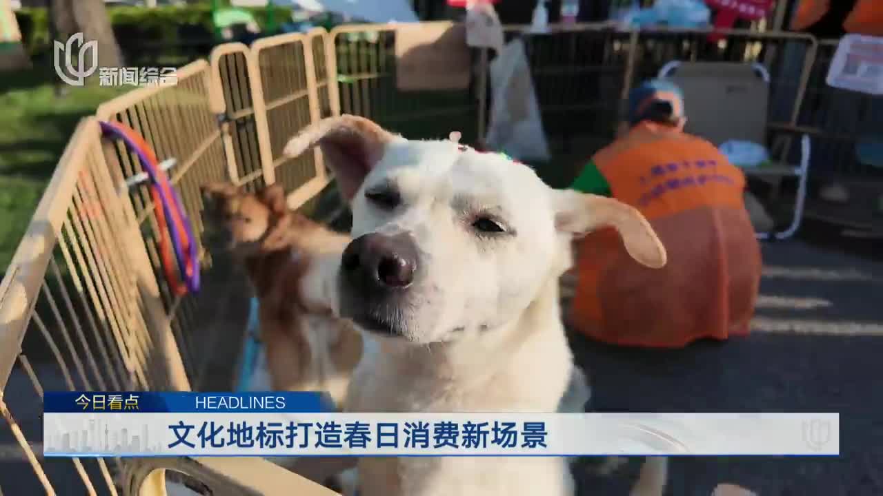 20250426《上海早晨》_看看新闻网