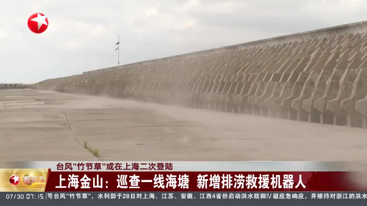 h264_720p_600k_89461-DFTVHD-20250730065500-10800-1115593-600k_mp4 ...