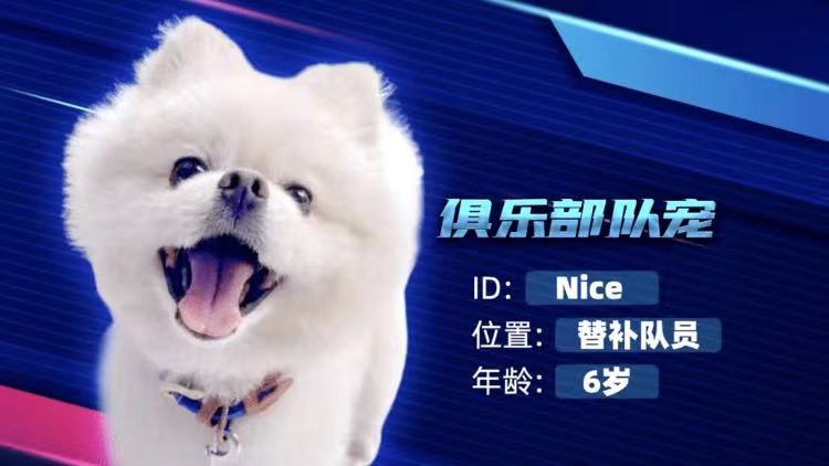 独家专访EDG丨揭秘队宠Nice 永远的“七号队员”_时讯_看看新闻网