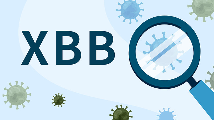 杭州：入境人员检测出XBB、BQ.1等毒株_时讯_看看新闻网